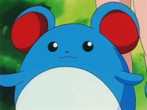 Cute Gifs Page Wifflegif