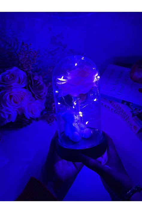 Begİsİ Led Işıklı Ayıcıklı Cam Fanus Beyaz Gül Fiyatı Yorumları Trendyol
