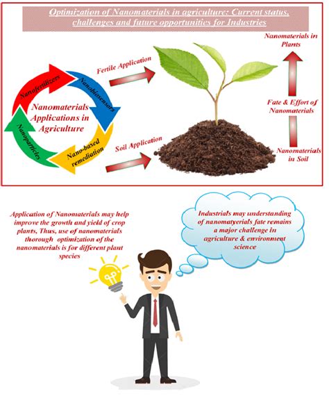 Inspired By Plants Survival An New Optimization Is Presented Fertile