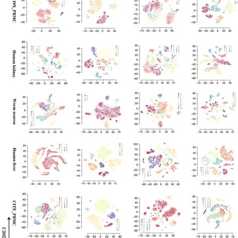 Latent Representation Visualization The Images Base On Embedded Download Scientific Diagram