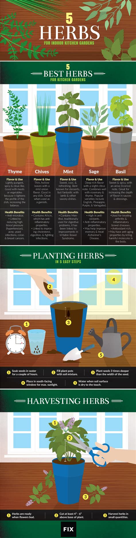 Best Herbs For The Kitchen Gardner Infographic Artofit