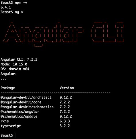 Angular Ng Commands Throws Insufficient Memory Error Fatal Process