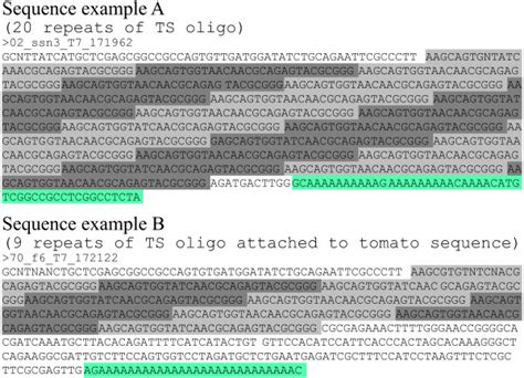 Examples Of Sequencing Results For Cdna Clones Having Concatamers Of Ts Examples Of Sequencing Results For Cdna Clones Having Concatamers Of Ts