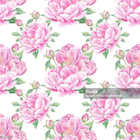 수채화 이음새가 없는 본 모란 직물 결혼식 포장 휴일 및 자연 디자인 초대장에 있는 사용을 위한 식물 작풍에서 손으로 그린 튤립 아트 프린트 디자인 Greating 엽서