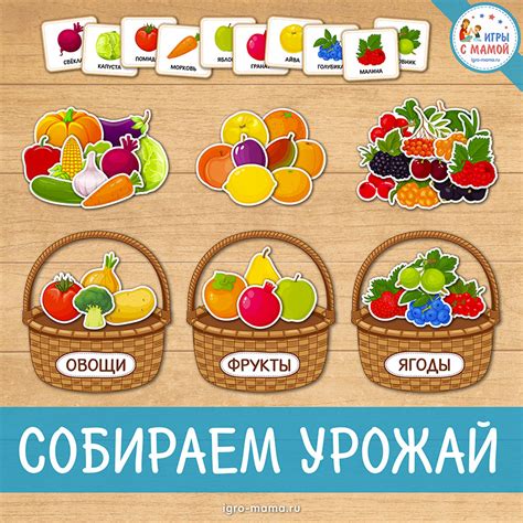 Дошкольник Развитие и обучение малышей 2024 ВКонтакте