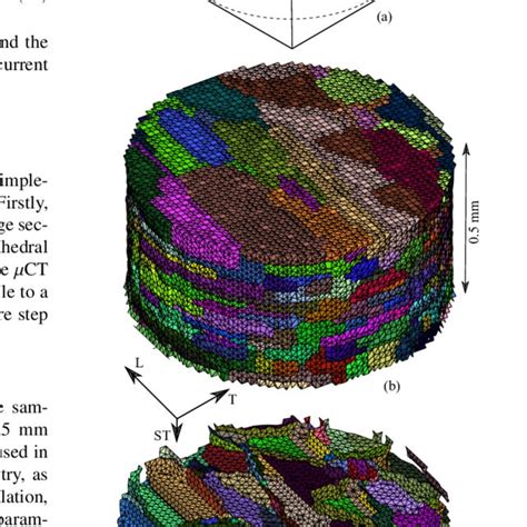 The Mesh For The Gauge Section Of A Cylindrical Sample 1 Mm Diameter Download Scientific