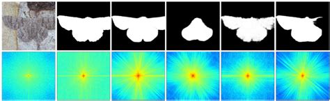 논문 리뷰 Frequency Spatial Entanglement Learning For Camouflaged Object