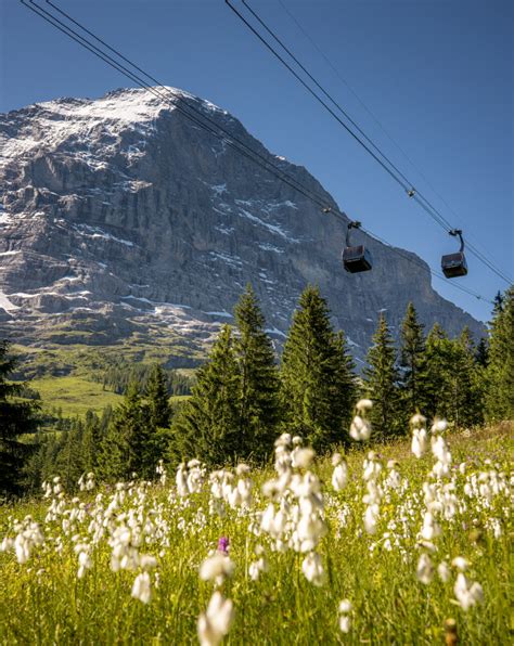 더 똑똑하게 융프라우 여행법