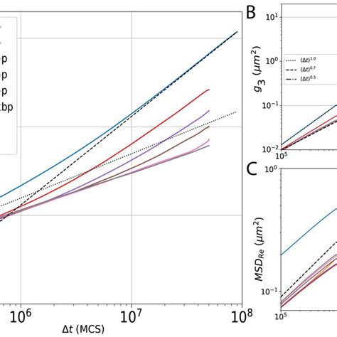 Different Models Of Polymer Entanglement A Conceptualization Of