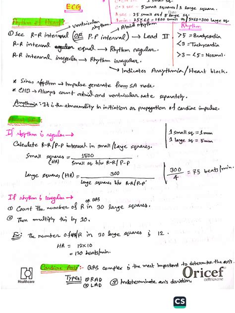 Ecg With Description Pdf