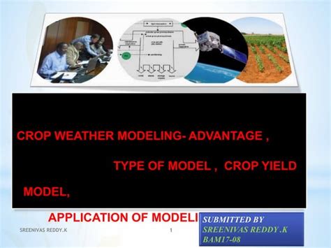 Crop Modeling Types Of Crop Growth Models In Agriculture PPTX Agriculture Industries