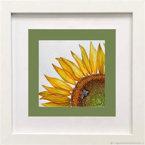 Картина акварелью в квадратной белой раме с паспарту "Подсолнух" в ...