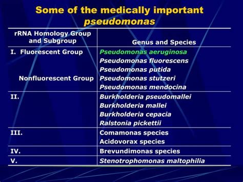 Campylobacter Ppt Digestive Disorders Diseases And Conditions
