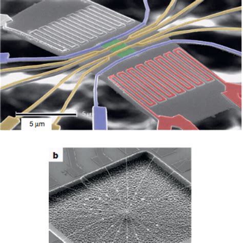 Scanning Electron Micrographs Of A Microchip Device Used To Measure Download Scientific Diagram