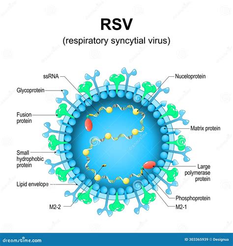 Respiratory Syncytial Virus Rsv Under Microscope Ai Generated Royalty Free Illustration