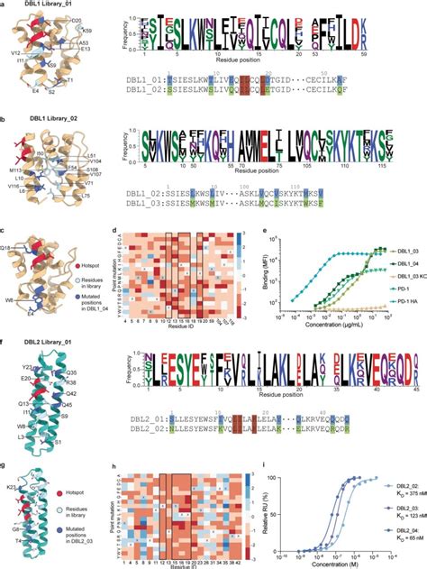 De Novo Design Of Protein Interactions With Learned Surface Fingerprints Pubmed