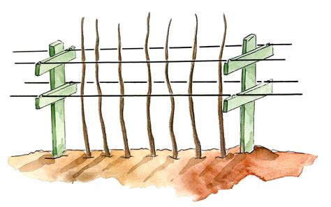 Raspberry Support Illustrated Instructions Kotona Living