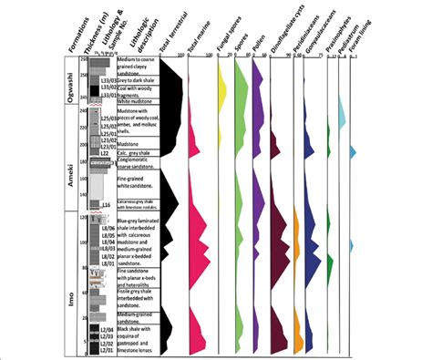 Composite Histogram Of The Studied Sections And Graphs Of The Percent