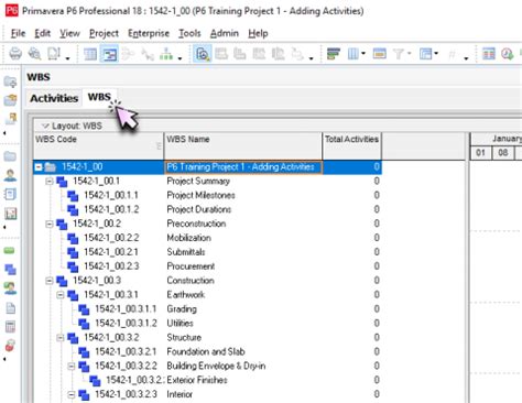 How To Display The WBS On The Activities Screen In Primavera P6 Taradigm