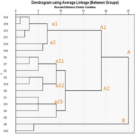Tree Diagram Of Genetic Relationships Based On Phenotypic Traits Among Download Scientific