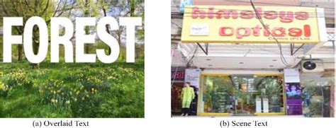 figure 2 from word level script identification using convolutional