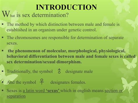 Sex Determination Chromosomal Theory Of Sex Determination Pptx Reproductive Health