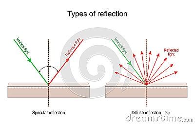 Types Of Reflection Specular And Diffuse Reflection Cartoon Vector CartoonDealer Com 265420999