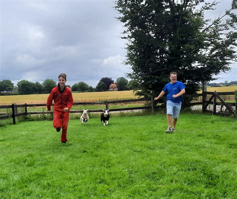 Groente And Groente And Planten Kwekerij Menno Van Loon