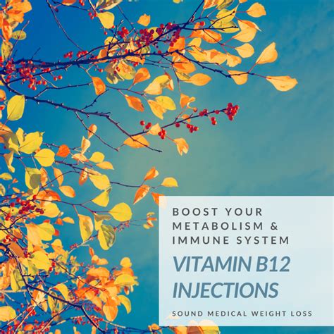 Vitamin B12 Injections Sound Medical Weight Loss Weight Loss Physicians