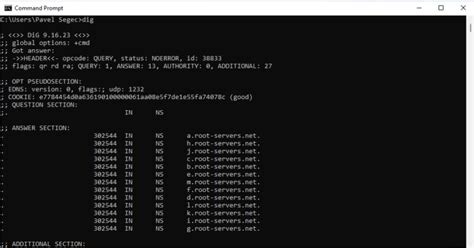 How To Install Dig Dns Tool On Windows 11 Nil Network Information