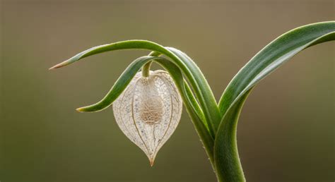 Life Cycle Decoupling → Term