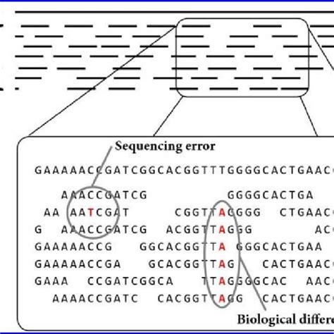 Alignment Of Short Dna Reads Download Scientific Diagram