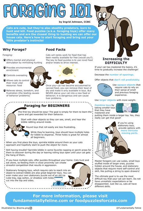 Foraging 101 Infographic Fundamentally Feline