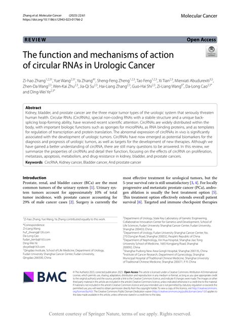 PDF The Function And Mechanisms Of Action Of Circular RNAs In Urologic Cancer