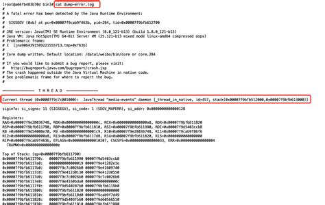 Java程序宕机问题 jvm层面排查 敲键盘的猫 博客园