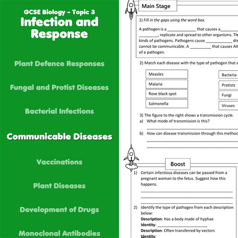 Communicable Diseases Home Learning Worksheet Gcse Teaching Resources