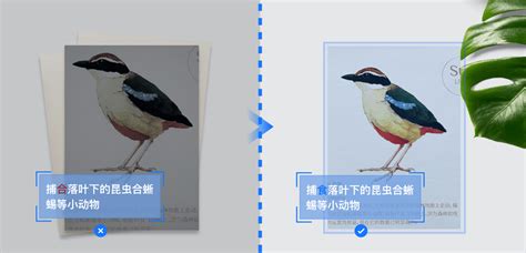 文本图像增强tie 图片文字优化 图片去阴影 腾讯云