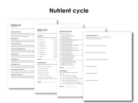 Nutrient Cycle Made By Teachers