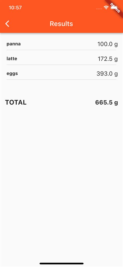 How To Add A Container On The Bottom Page In Flutter Flutter Fixes