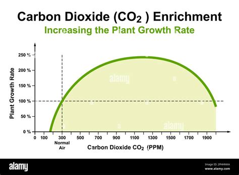 Co2 Enrichment Greenhouse At Nicholas Mckillop Blog