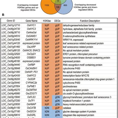 Integration Of ChIP Seq And RNA Seq Data To Identify Leaf Download Scientific Diagram