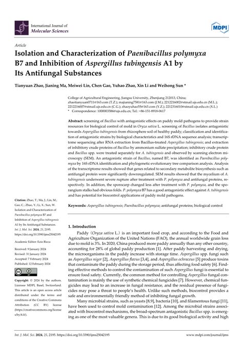 Pdf Isolation And Characterization Of Paenibacillus Polymyxa B7 And