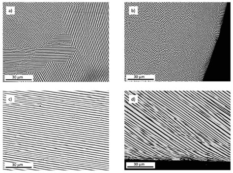Fesem Micrographs Of The Transverse And Longitudinal Cross Sections Of