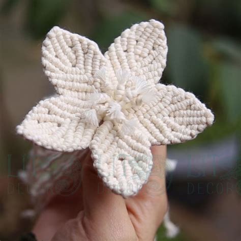 4 DIY Macrame Flower Tutorial Easy Pattern