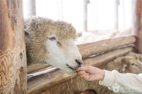 외국인들이 가장 사랑하는 한국의 숨은 여행지 5곳 이유는 Tipdaily