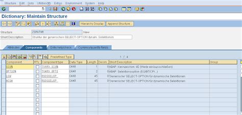 SAP TECH Creating Customized Select Options