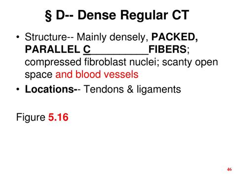 Ppt Chapter 5 Histology Microscopic Anatomy Powerpoint Presentation Id 4260500