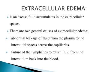 Body Fluid Distribution On Normal Aduly Pptx