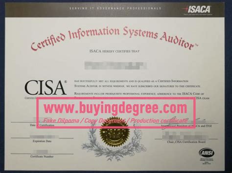 Take You To Know How To Buy The Latest Cisa Certificate Sample In 2023