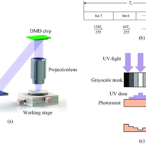 A Schematic View Of The Digital Micro Mirror Device Dmd Based